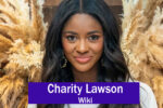 Charity Lawson Wikipedia, Age, Career, Net Worth, Biography - Aitechtonic