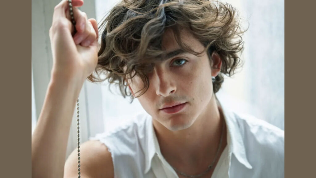 Timothée Chalamet Wikipedia, Wiki, Who Is, Age, Height, Dating ...