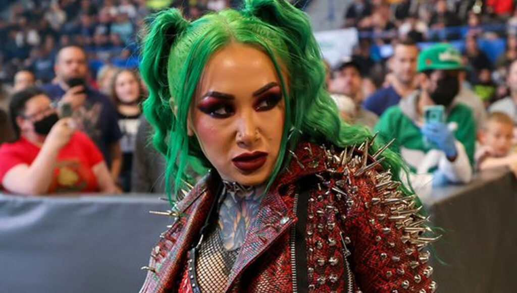 Shotzi Blackheart Husband: A Dynamite Force in WWE - Aitechtonic
