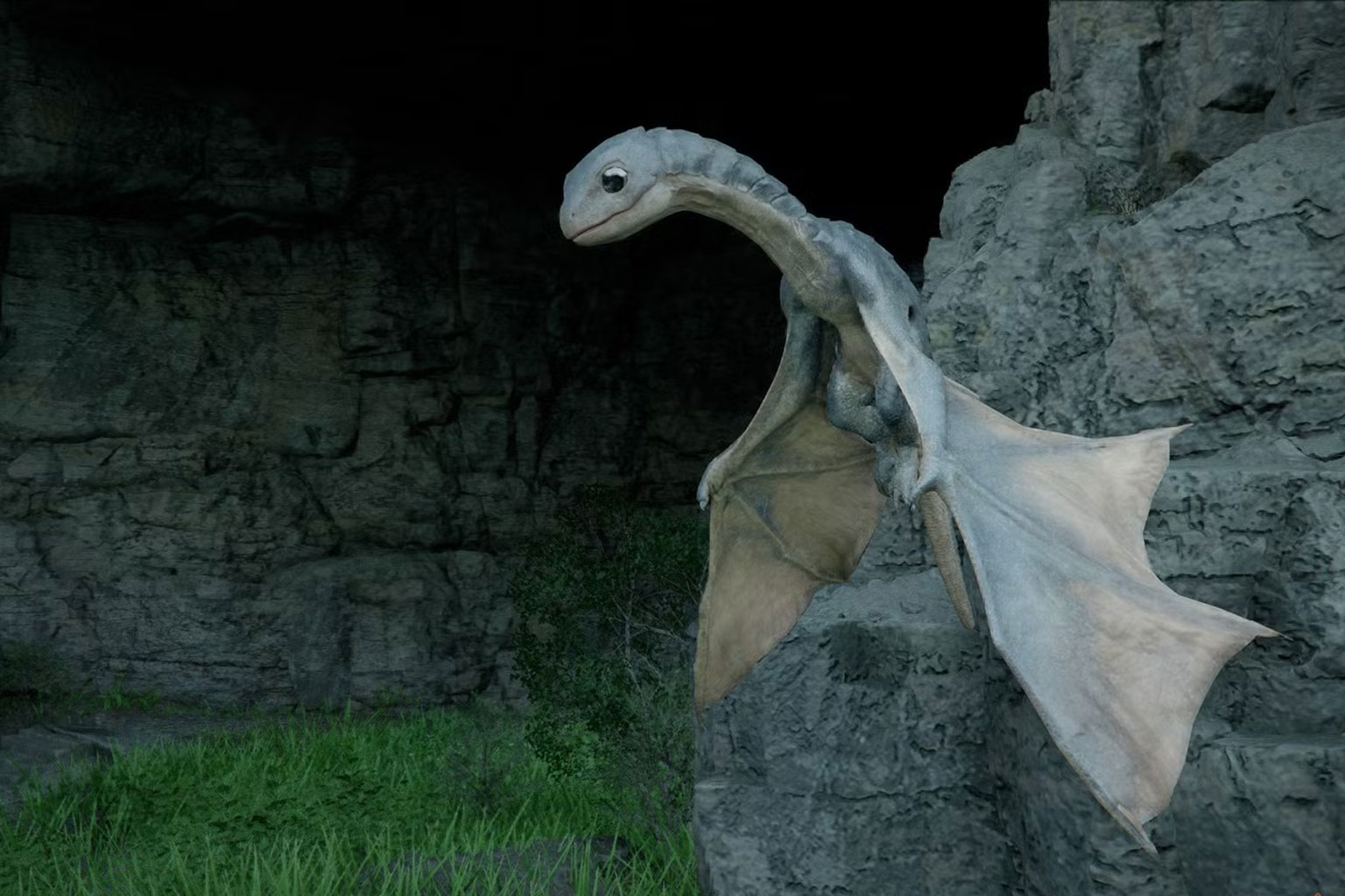 How To Get the Baby Wyvern in Crimson Desert - Aitechtonic